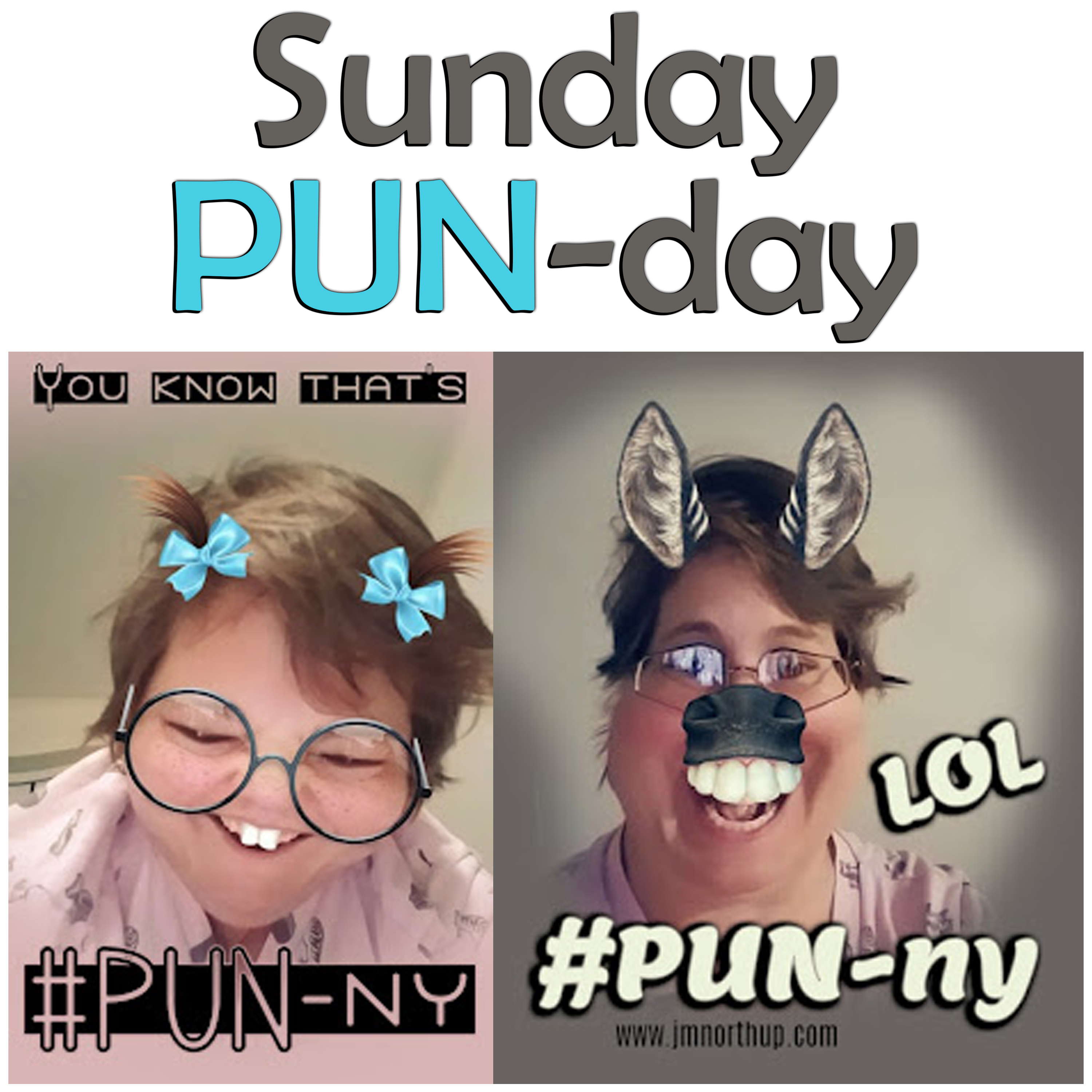 That’s #PUN-ny: Disney Jokes & Books – J.M. NORTHUP